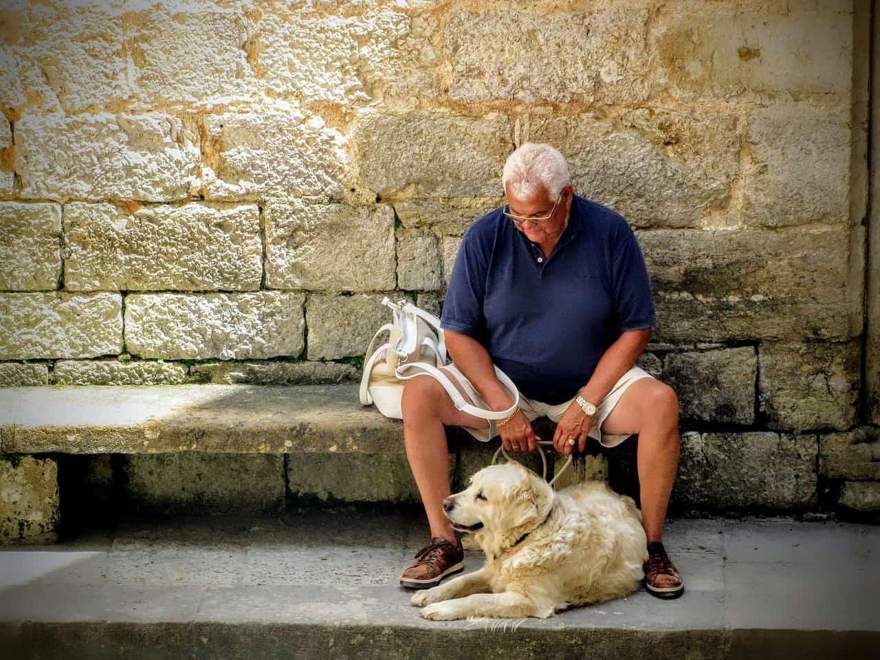 The Value Of Trained Therapy Dogs For The Mentally Ill the-value-of-trained-therapy-dogs-for-the-mentally-ill